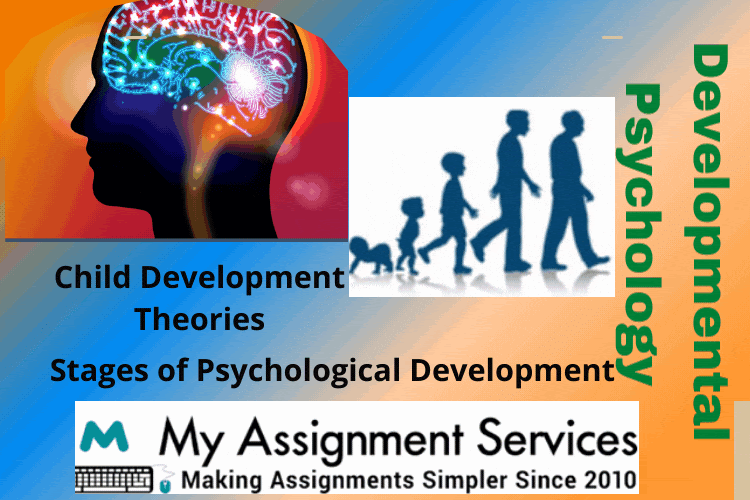 Cognitive Development Assignment Help With Upto 50% OFF By Ph.D. Experts
