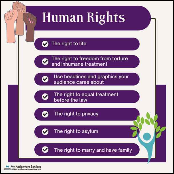 30 Human Rights Essay Topics to Impress Your Professor in 2026