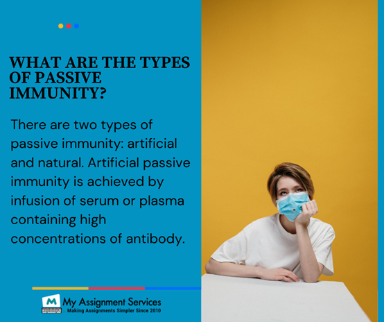 Active vs Passive Immunity: Understanding the Key Differences
