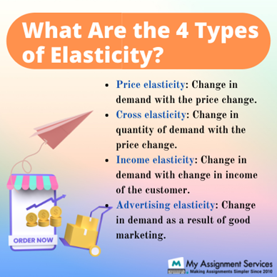Understanding Elasticity in Economics: Examples and Explanation