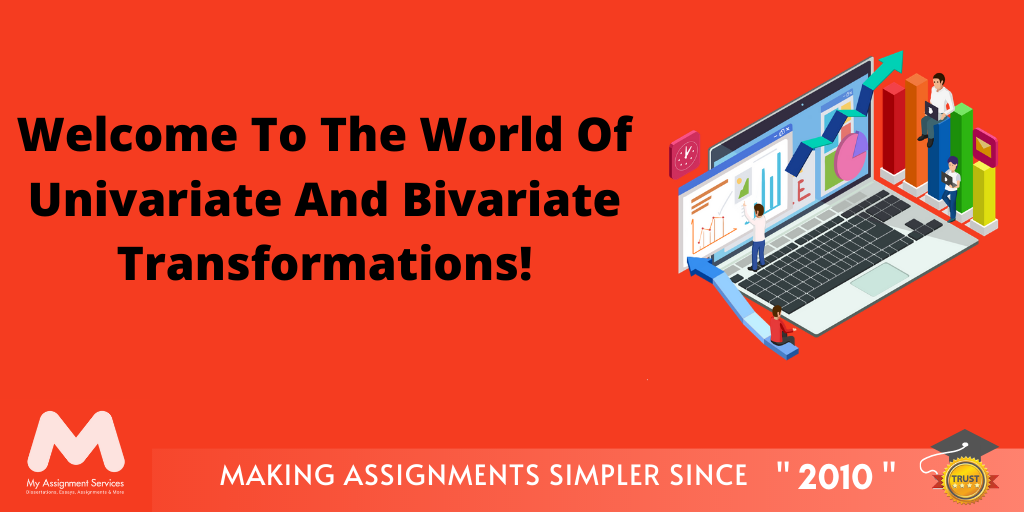 Learn the Basics of Univariate and Bivariate Transformations